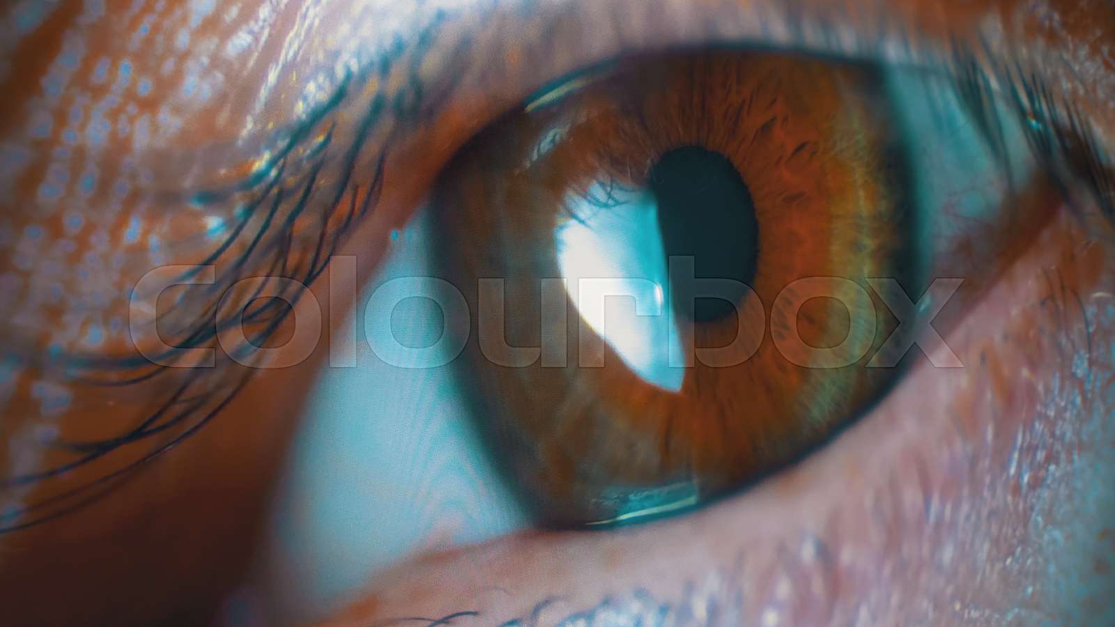 Human Eye on TV Screen Pixels Fluctuates with Color. RGB Monitor Pixels ...