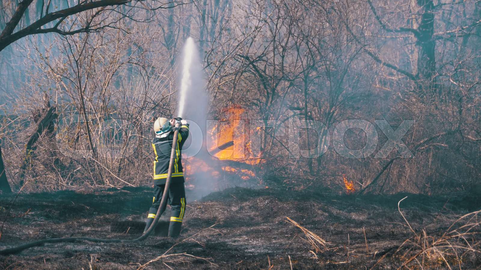Firefighter in Equipment Extinguish Forest Fire with Fire Hose. Wood ...