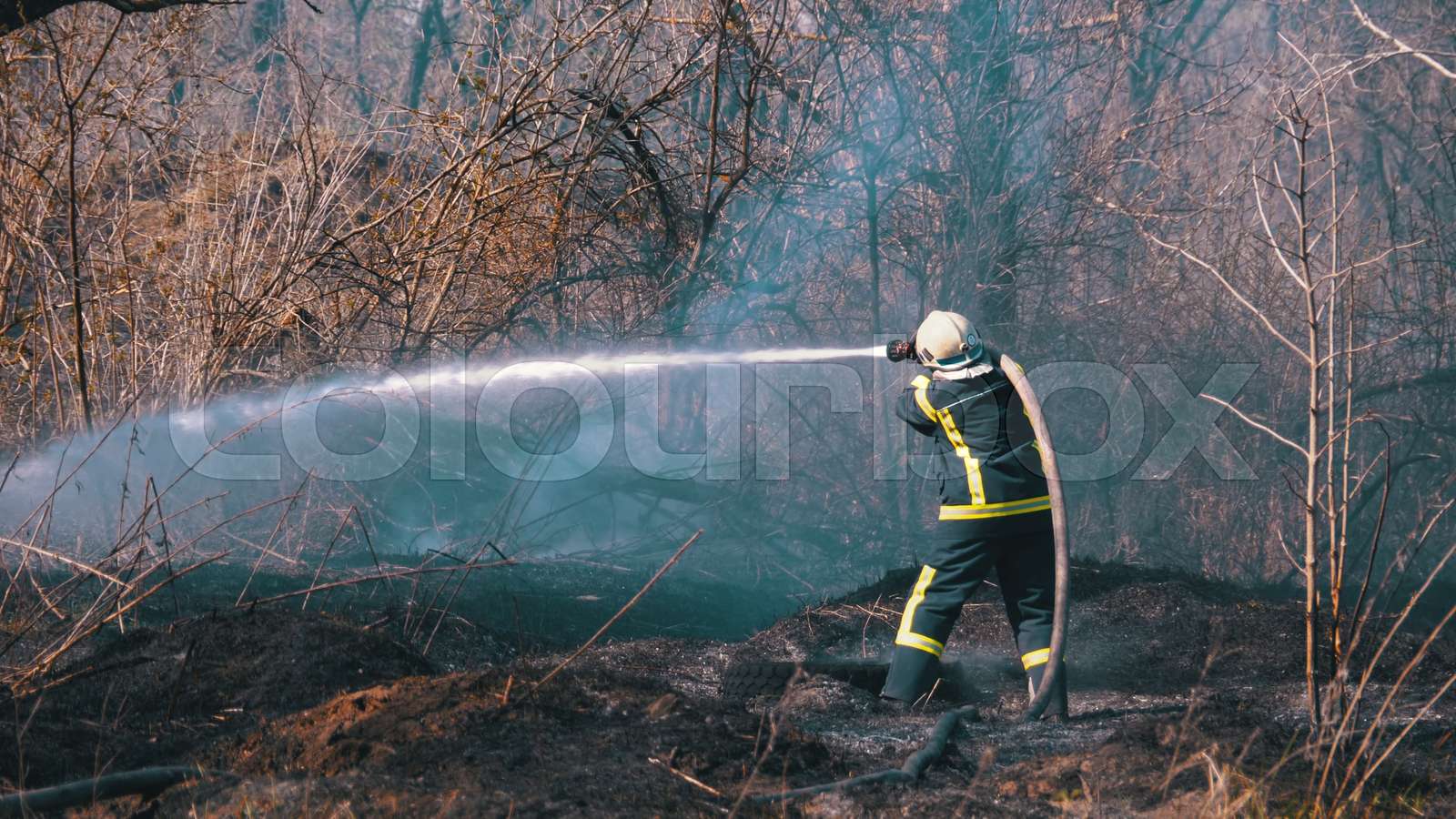 Firefighter in Equipment Extinguish Forest Fire with Fire Hose. Wood ...