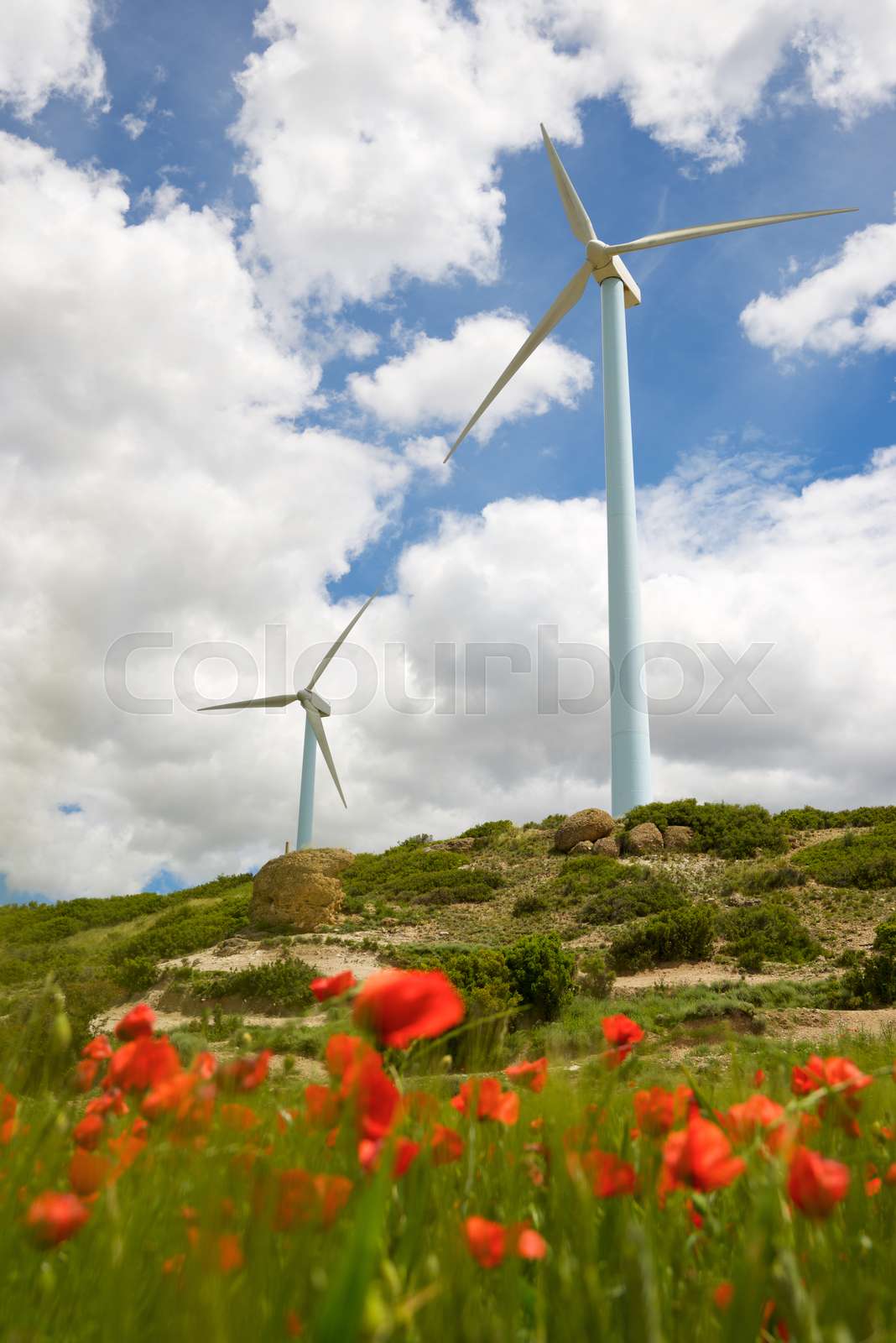 Renewable energy concept | Stock image | Colourbox