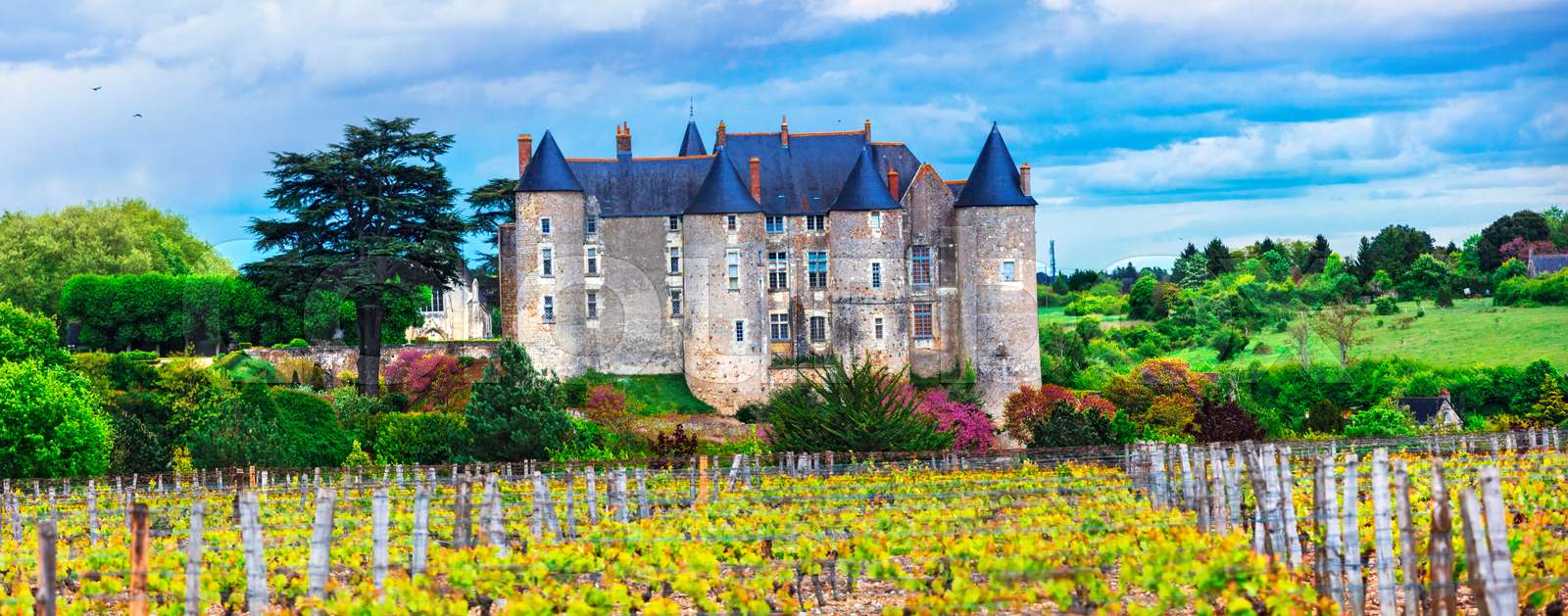 French castles and vineyards - heritage of France | Stock image | Colourbox