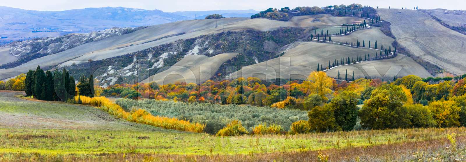Traditional rural scenery of beautiful Tuscany. Italy | Stock image ...