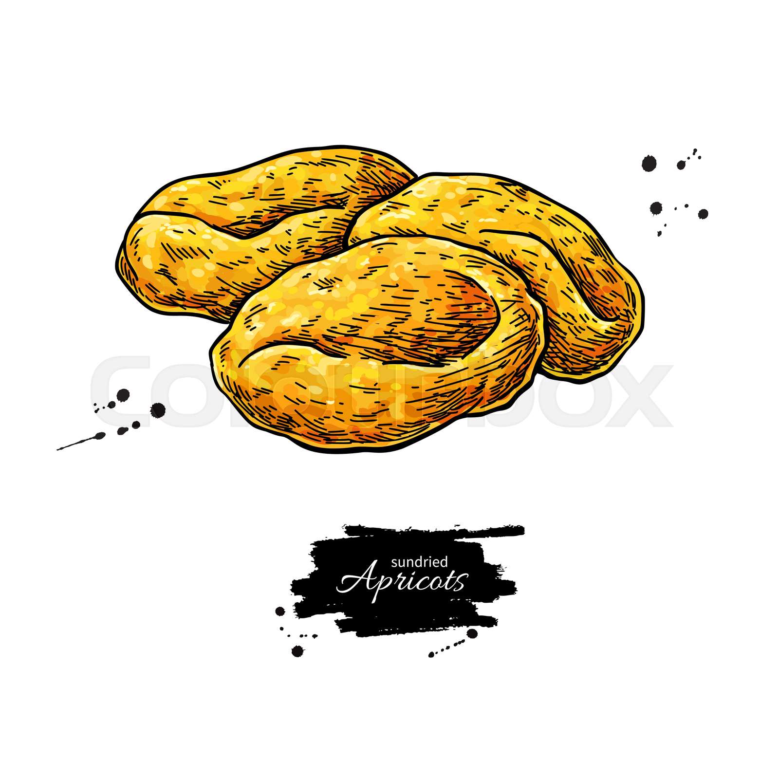 Dried apricot heap vector drawing. Hand drawn dehydrated fruit ...