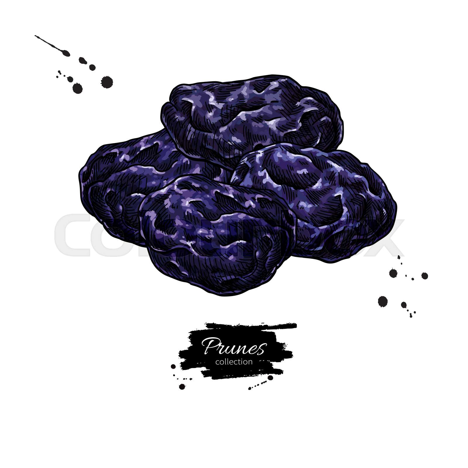 Dried plum heap. Prune vector drawing. Hand drawn dehydrated fruit ...
