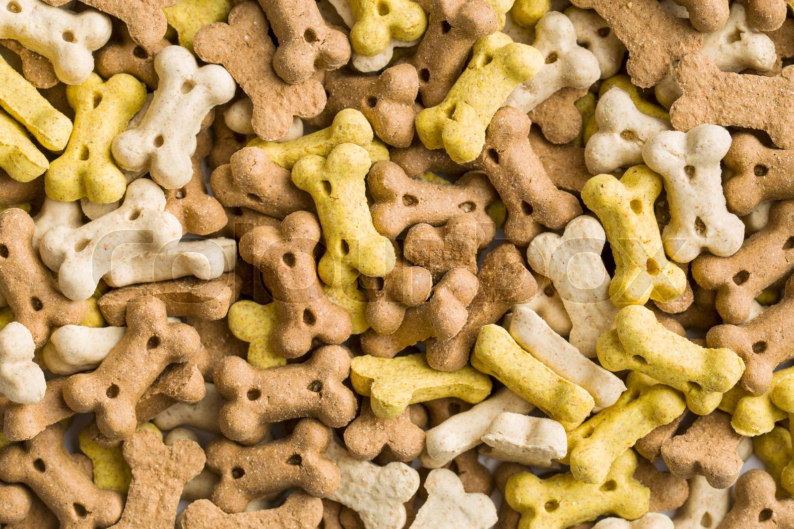 Dog food shaped like bones. | Stock image | Colourbox
