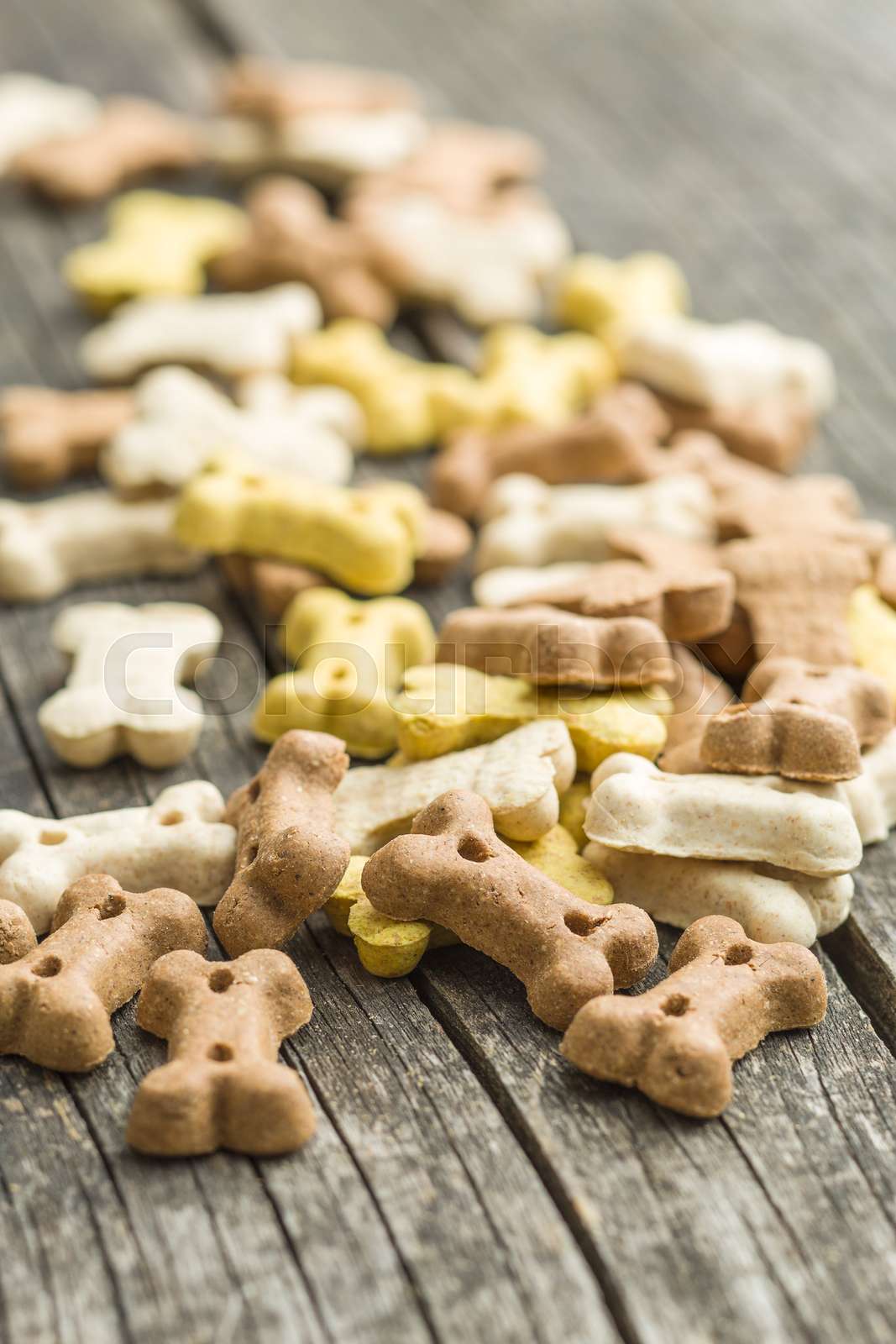 Dog food shaped like bones. | Stock image | Colourbox
