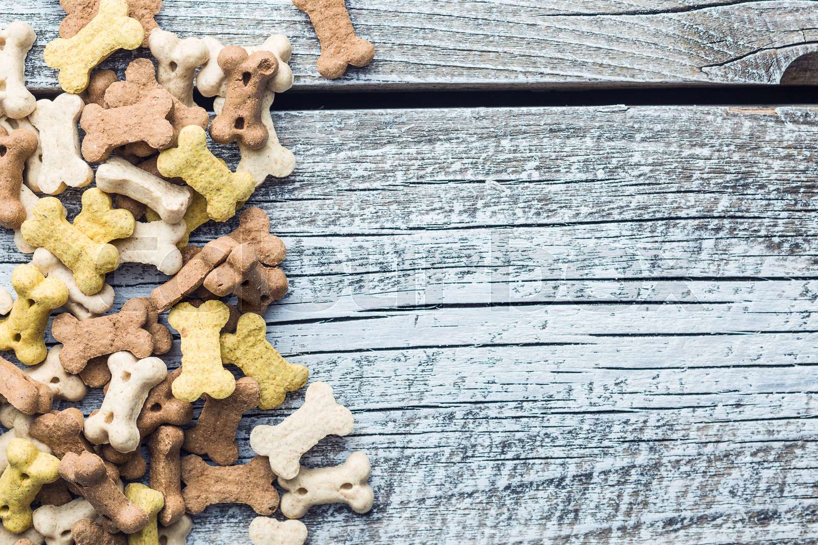Dog food shaped like bones. | Stock image | Colourbox