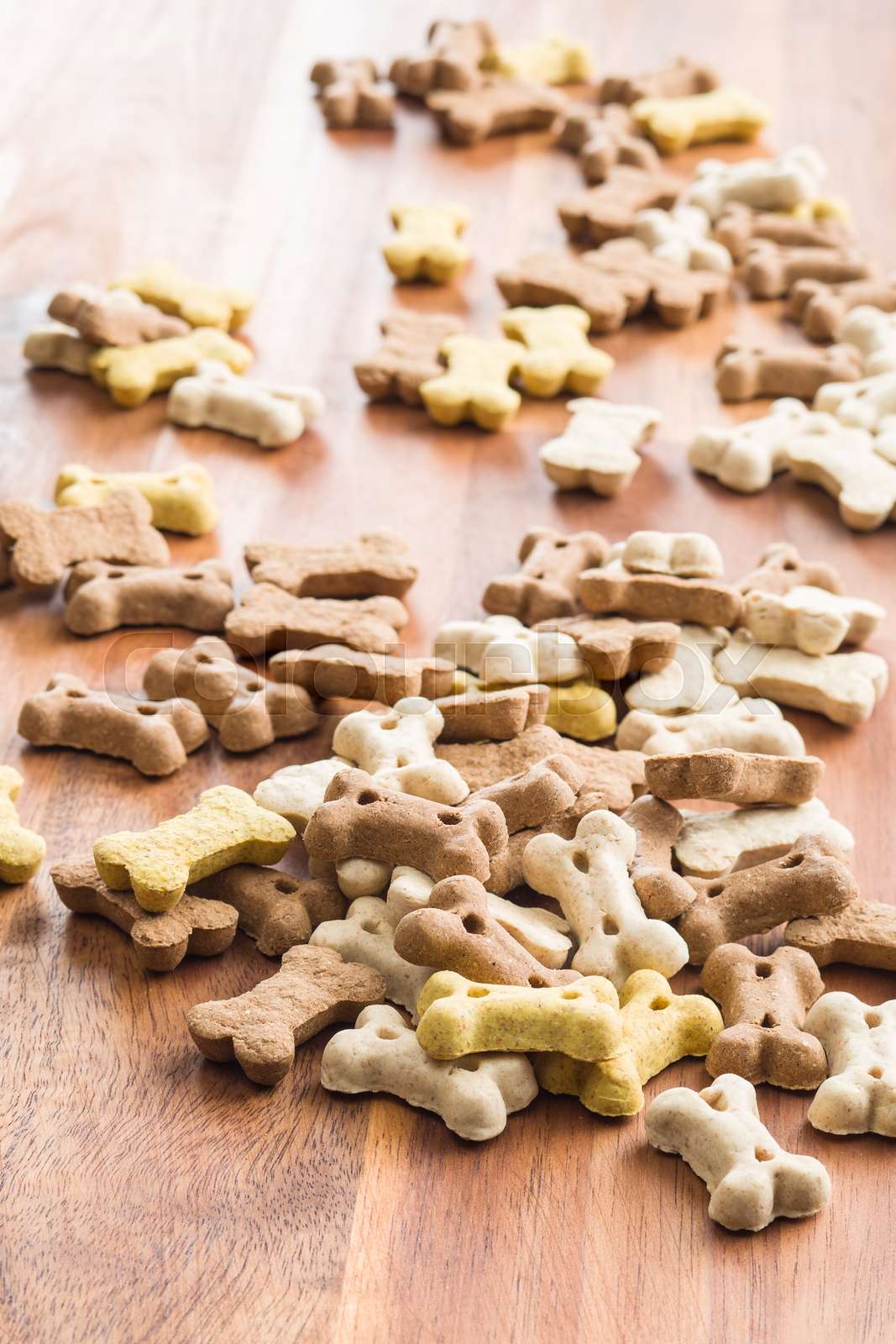 Dog food shaped like bones. | Stock image | Colourbox