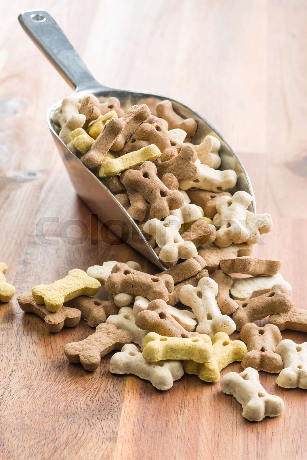 Dog food shaped like bones. | Stock image | Colourbox