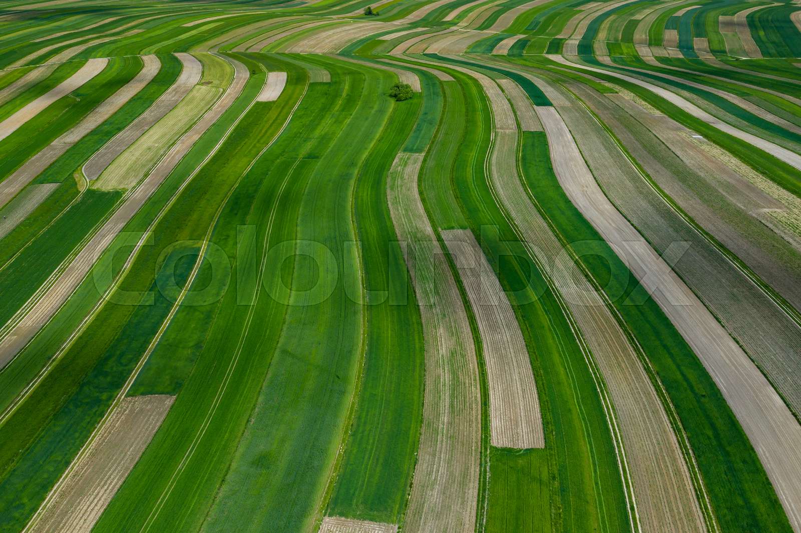 Poland from above. Aerial view of green agricultural fields and village ...