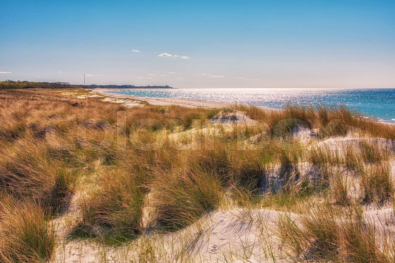 Landschaft Sudlich Der Ostsee