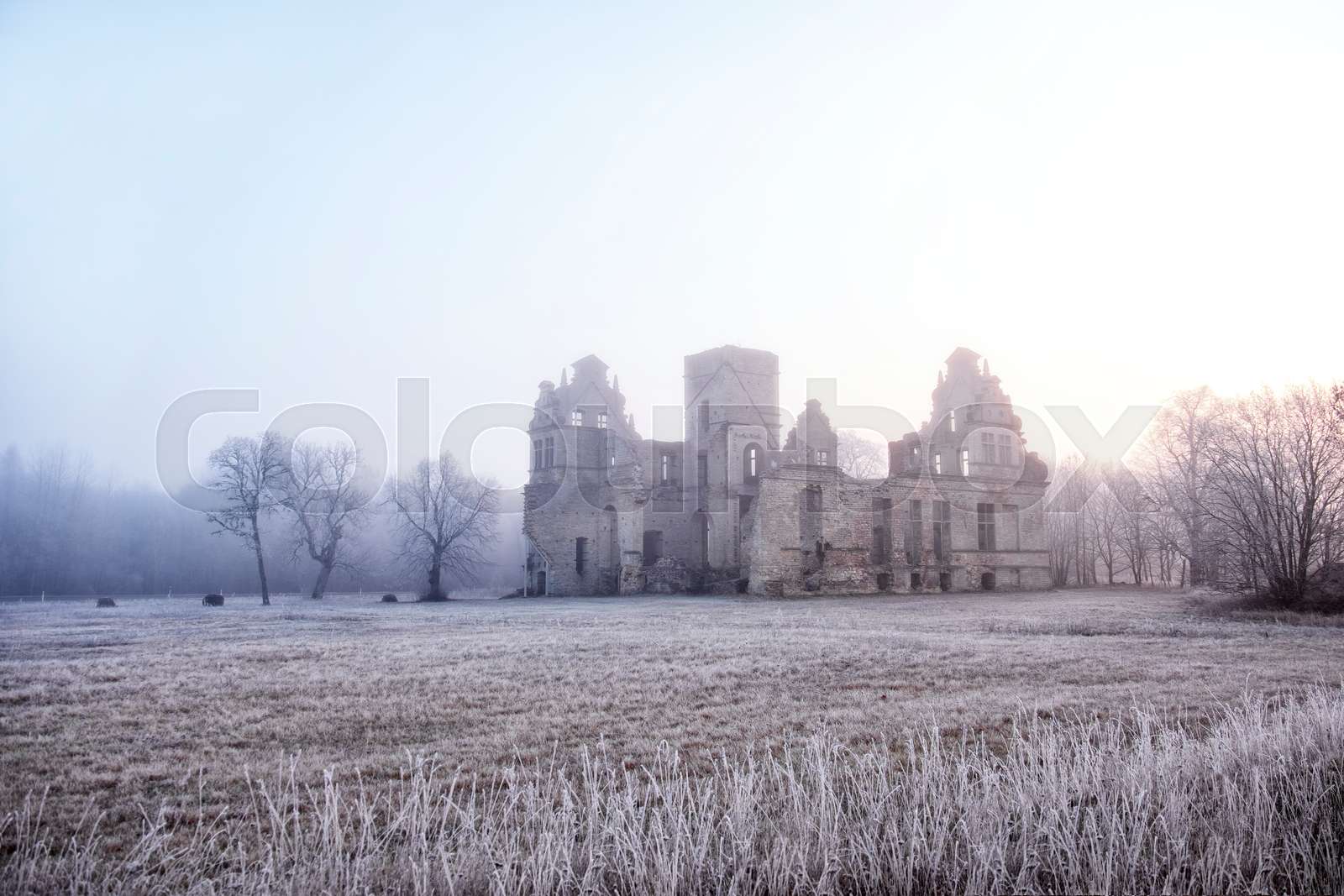 castle ruins in the morning sun. Estonia. Haapsalu. Ungru loss | Stock ...