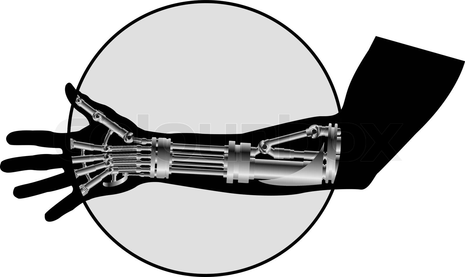 X-ray photography. vector illustration | Stock vector | Colourbox