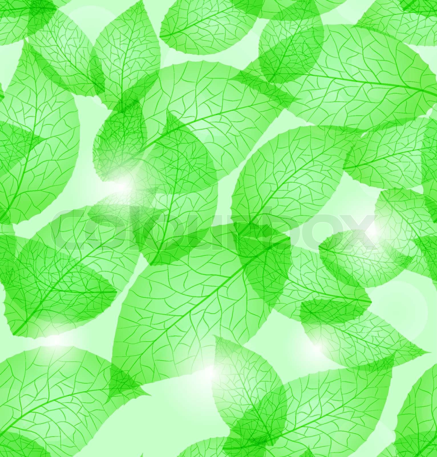 Light Green Leaf Abstract Background