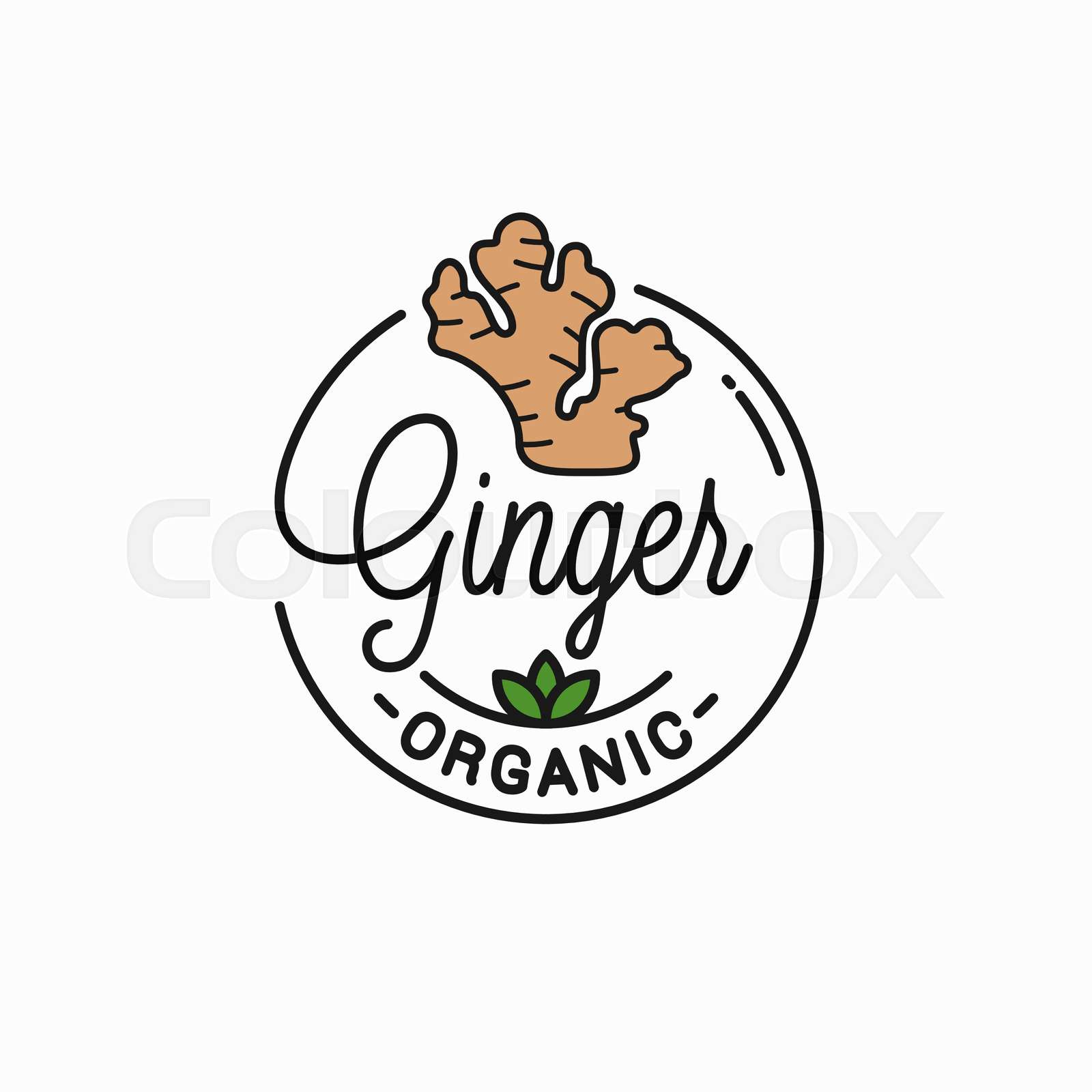 Ginger root logo. Round linear of ginger | Stock vector | Colourbox