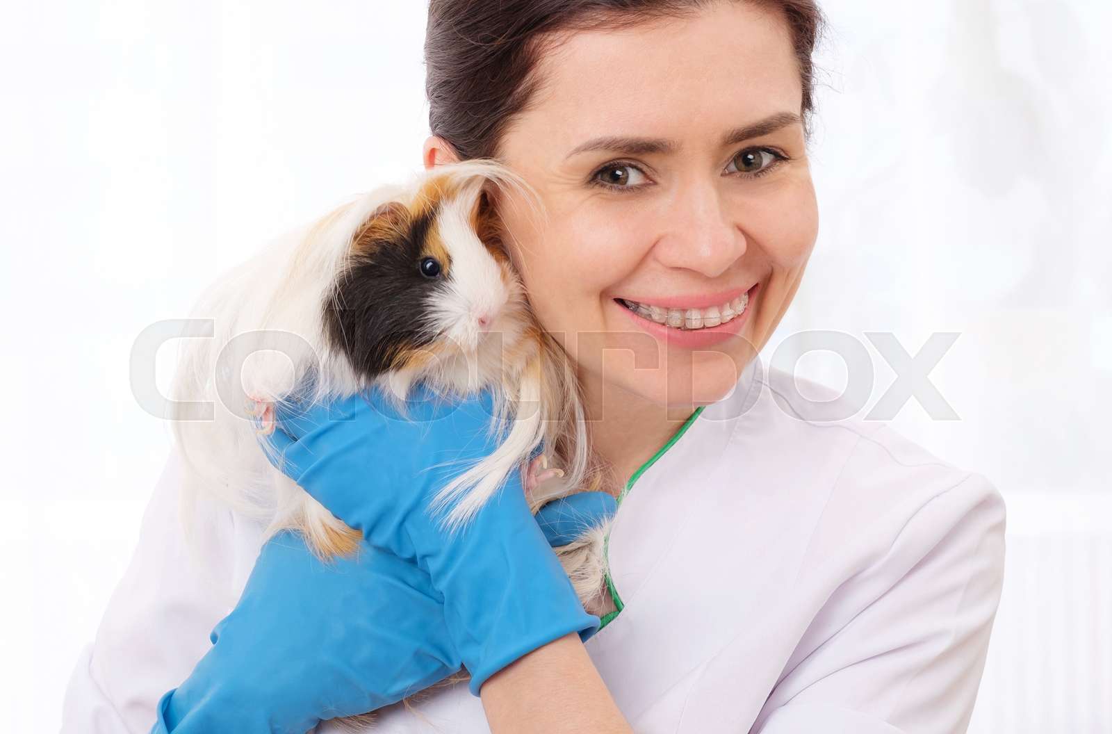 Female vet doctor with guinea pig | Stock image | Colourbox