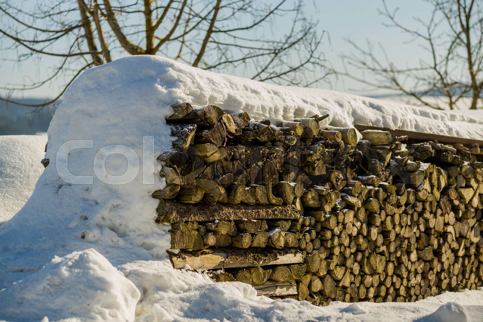 stack of firewood with snow | Stock image | Colourbox