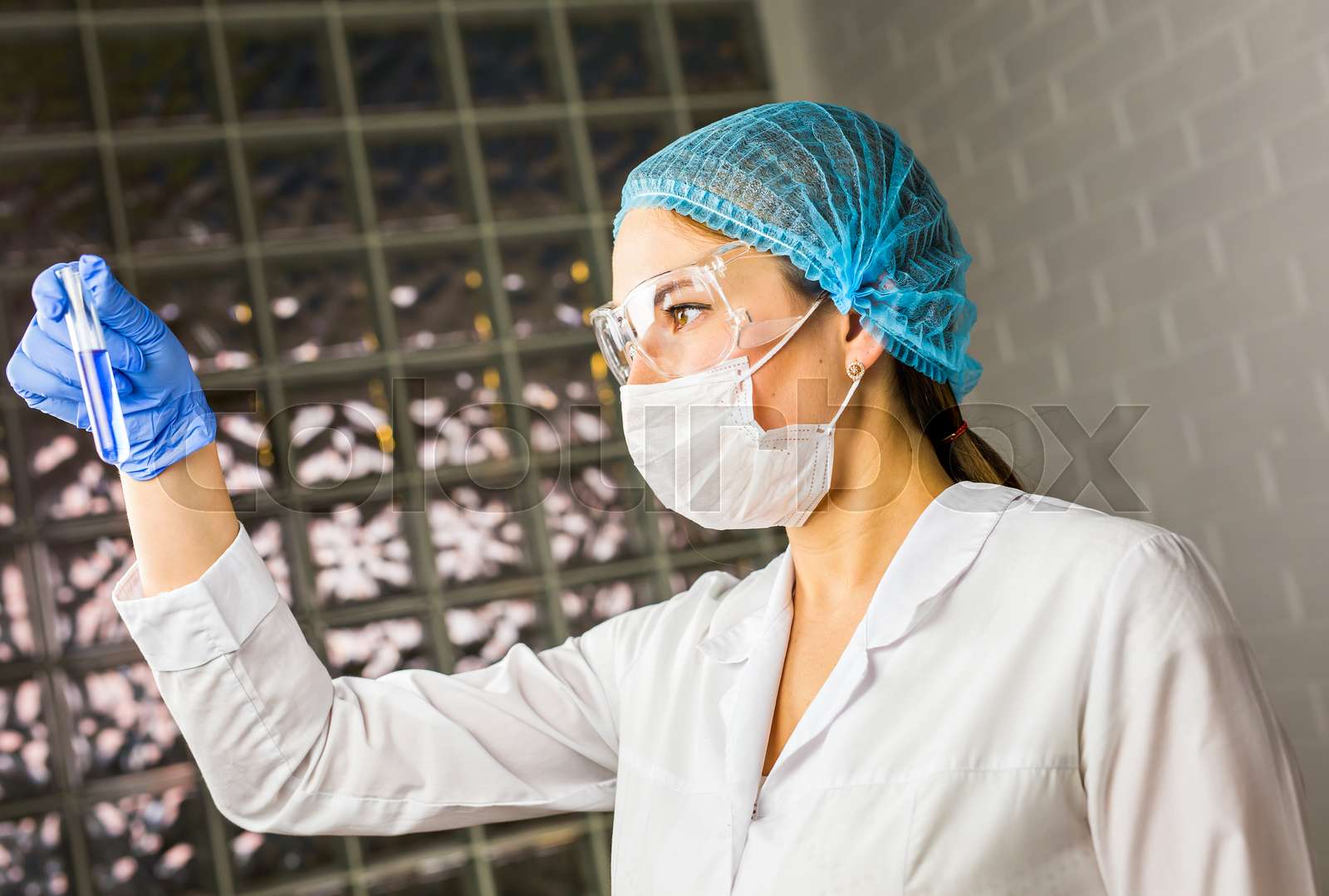 Woman with test tube | Stock image | Colourbox