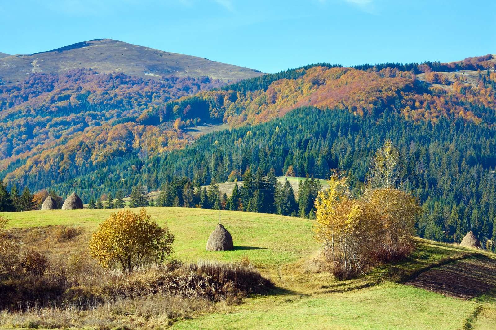udendørs, ukraine, land | Stock foto | Colourbox