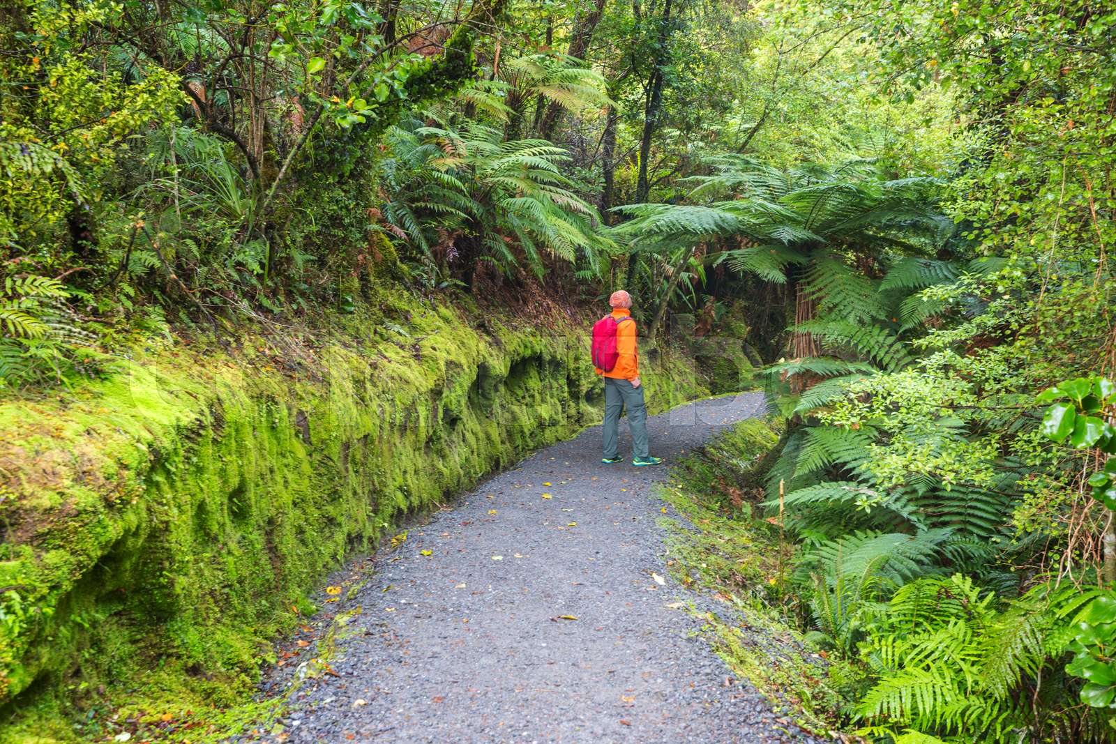 Tramping | Stock image | Colourbox