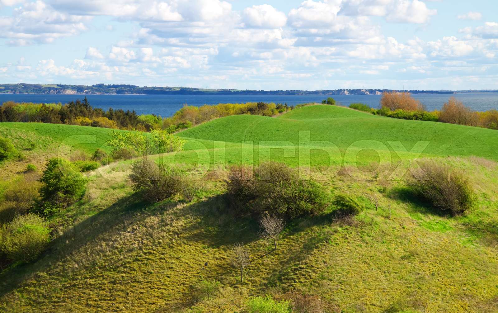 Landscape in Denmark | Stock image | Colourbox