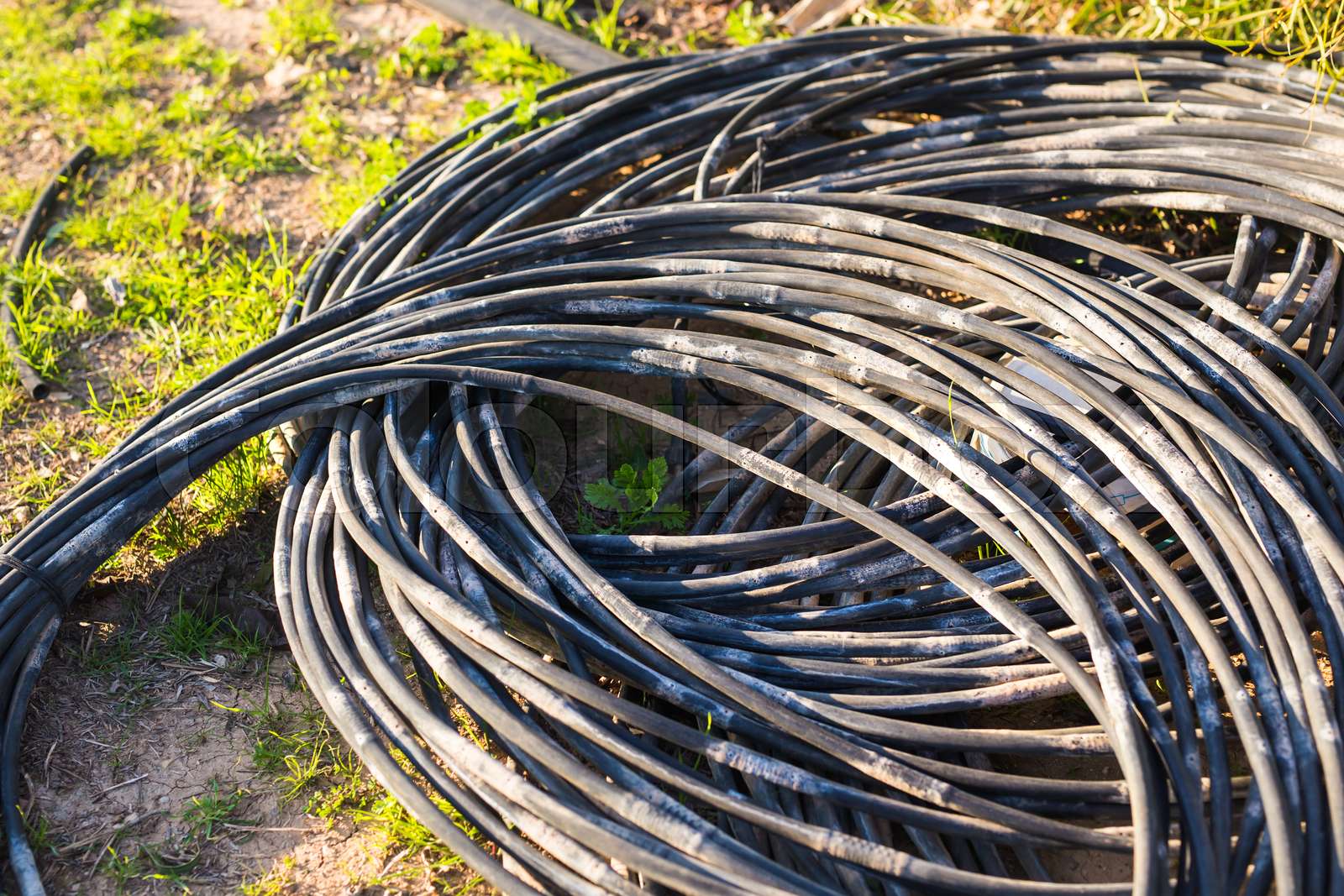 Garden hose-pipe outdoor | Stock image | Colourbox