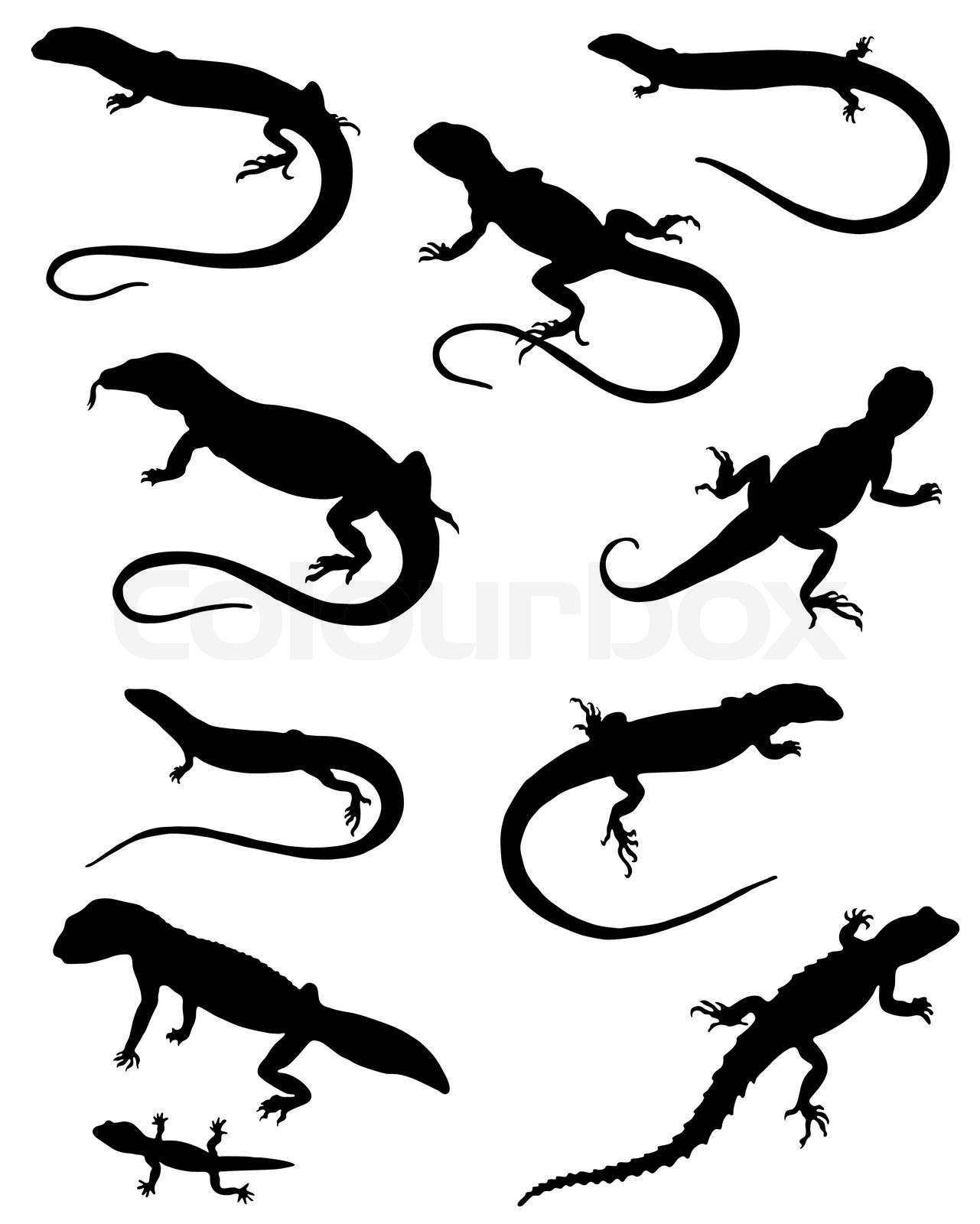 Collection of silhouettes of lizards | Stock vector | Colourbox