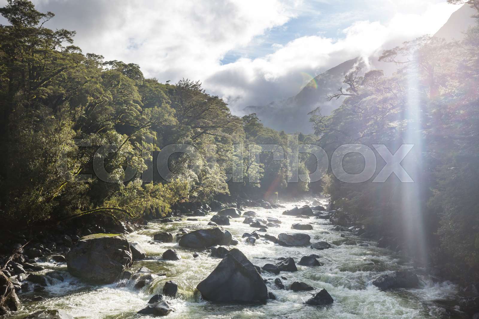 New Zealand river | Stock image | Colourbox