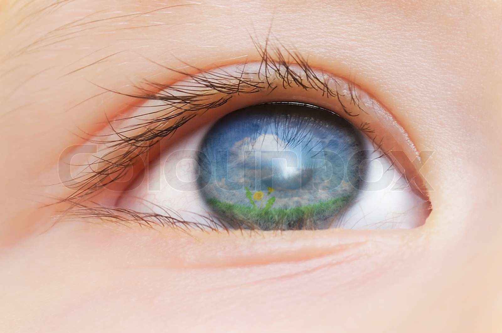 Children's eye | Stock image | Colourbox