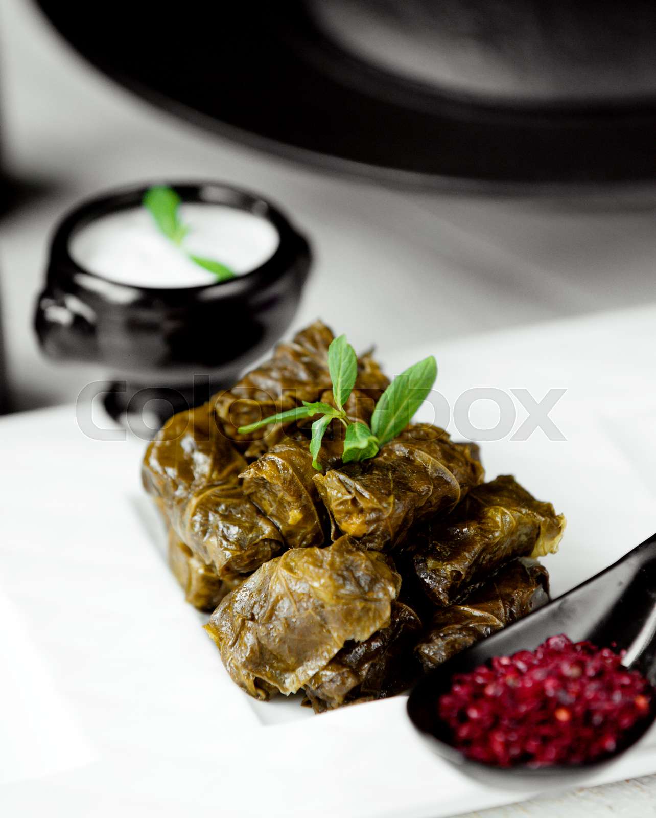 traditional leaf dolma with gatigh | Stock image | Colourbox