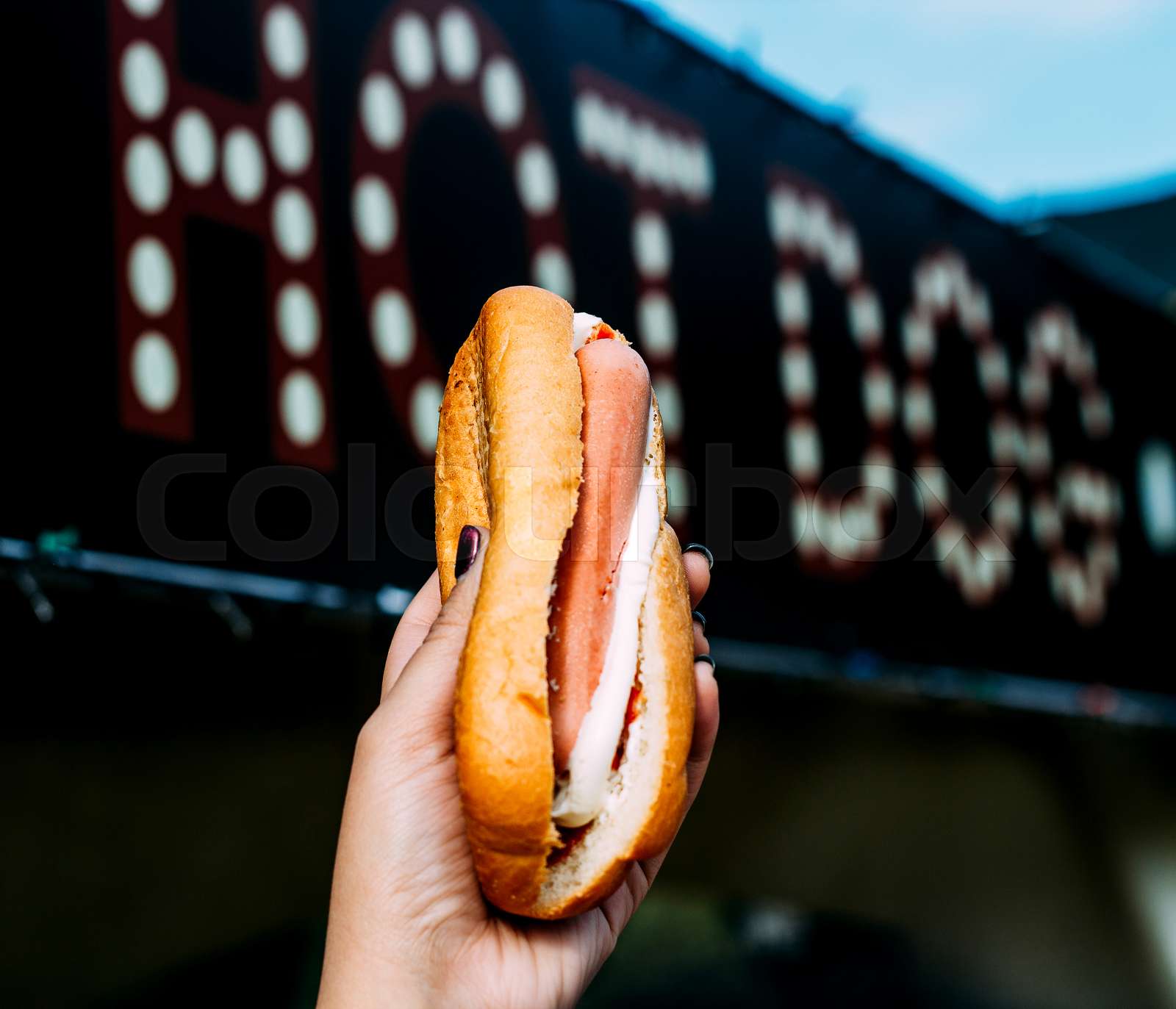 a person holding hot dog | Stock image | Colourbox