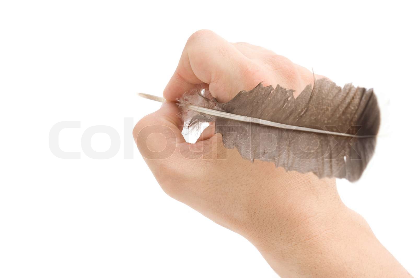 writing hand with pen feather | Stock image | Colourbox