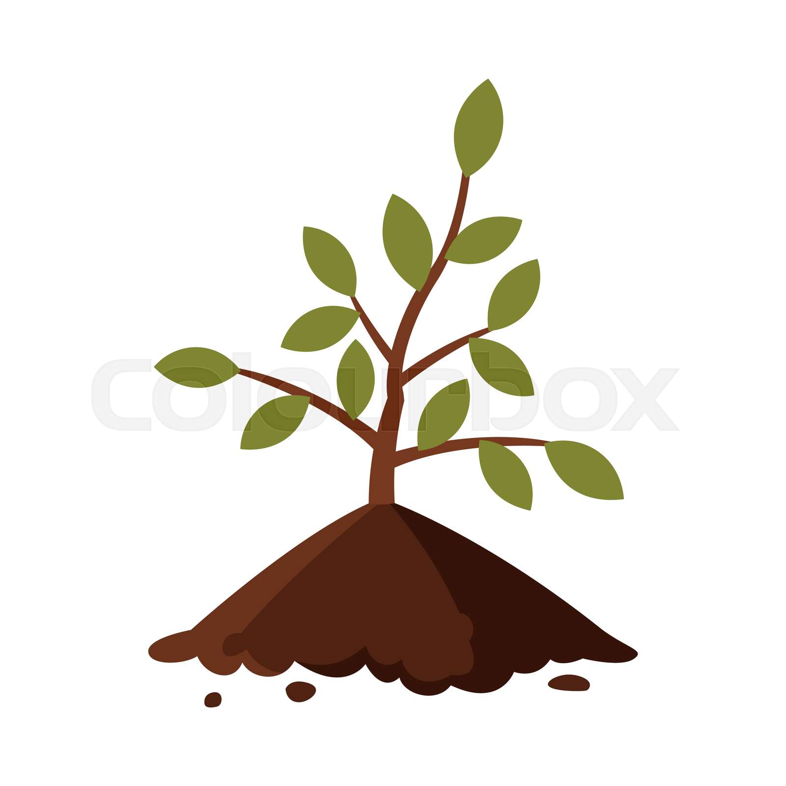 Young Tree Sapling in the Ground Flat Style Vector Illustration on ...