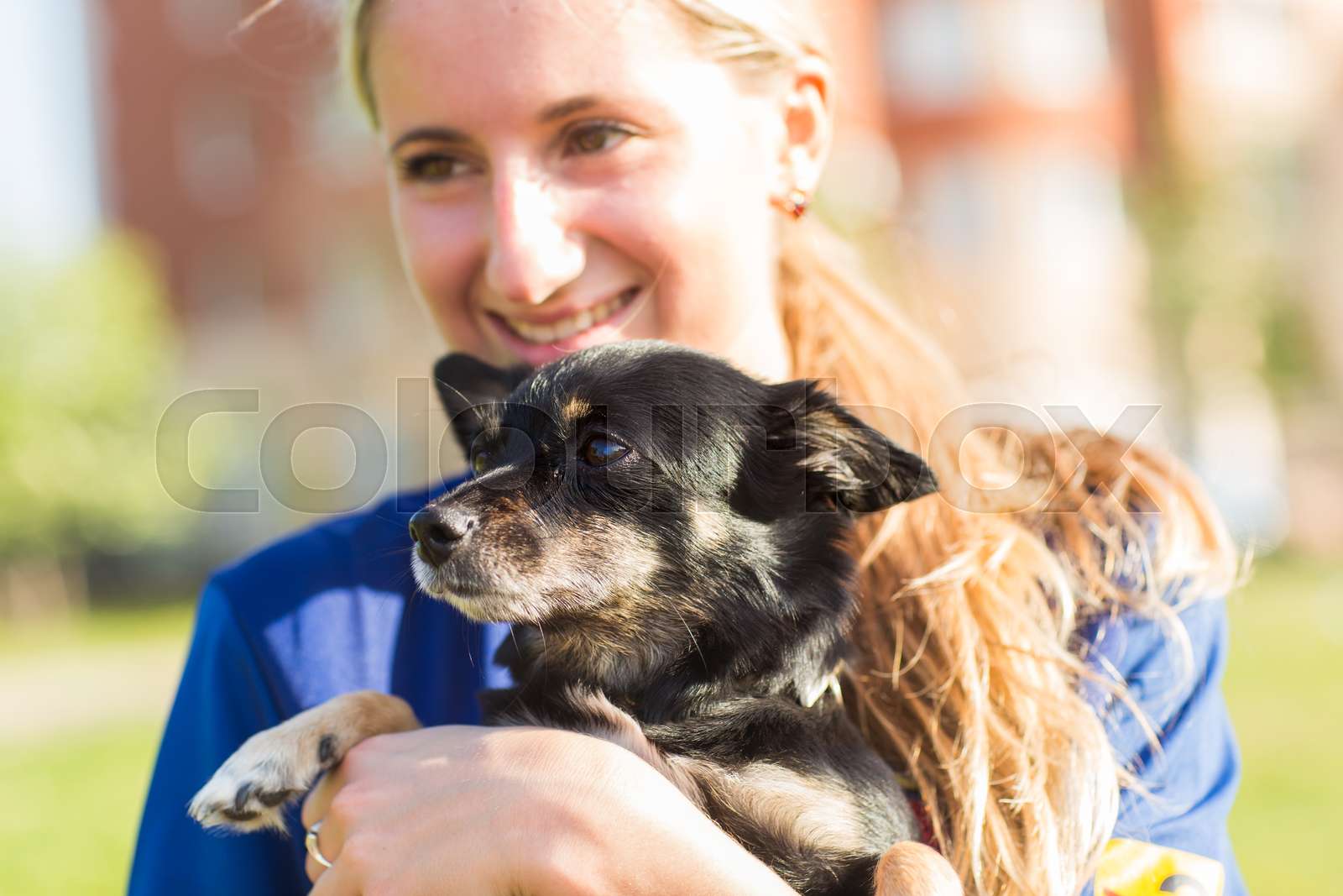Concept of pets and happy owner - woman is holding a dog outdoors ...