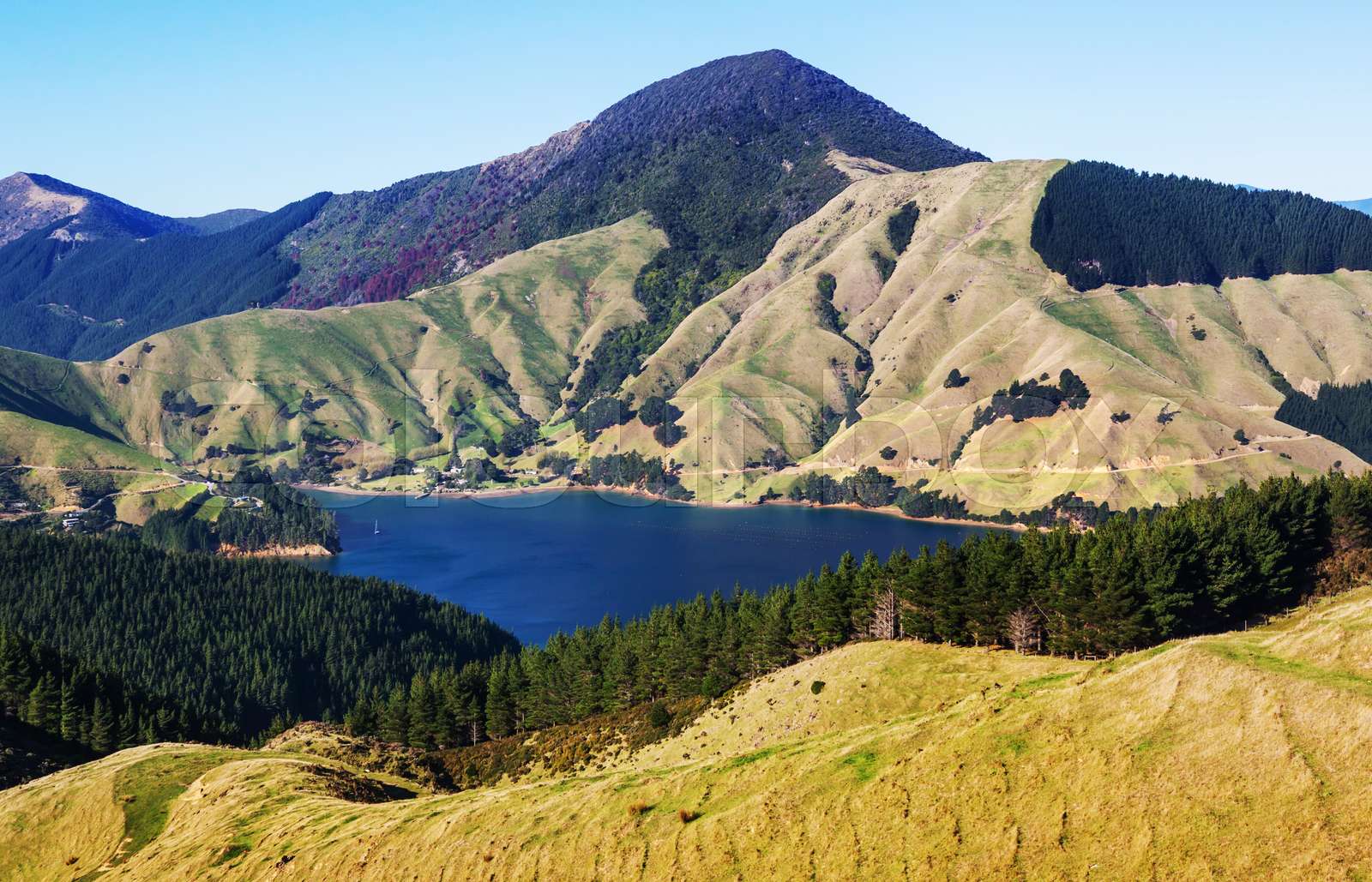 New Zealand hills | Stock image | Colourbox