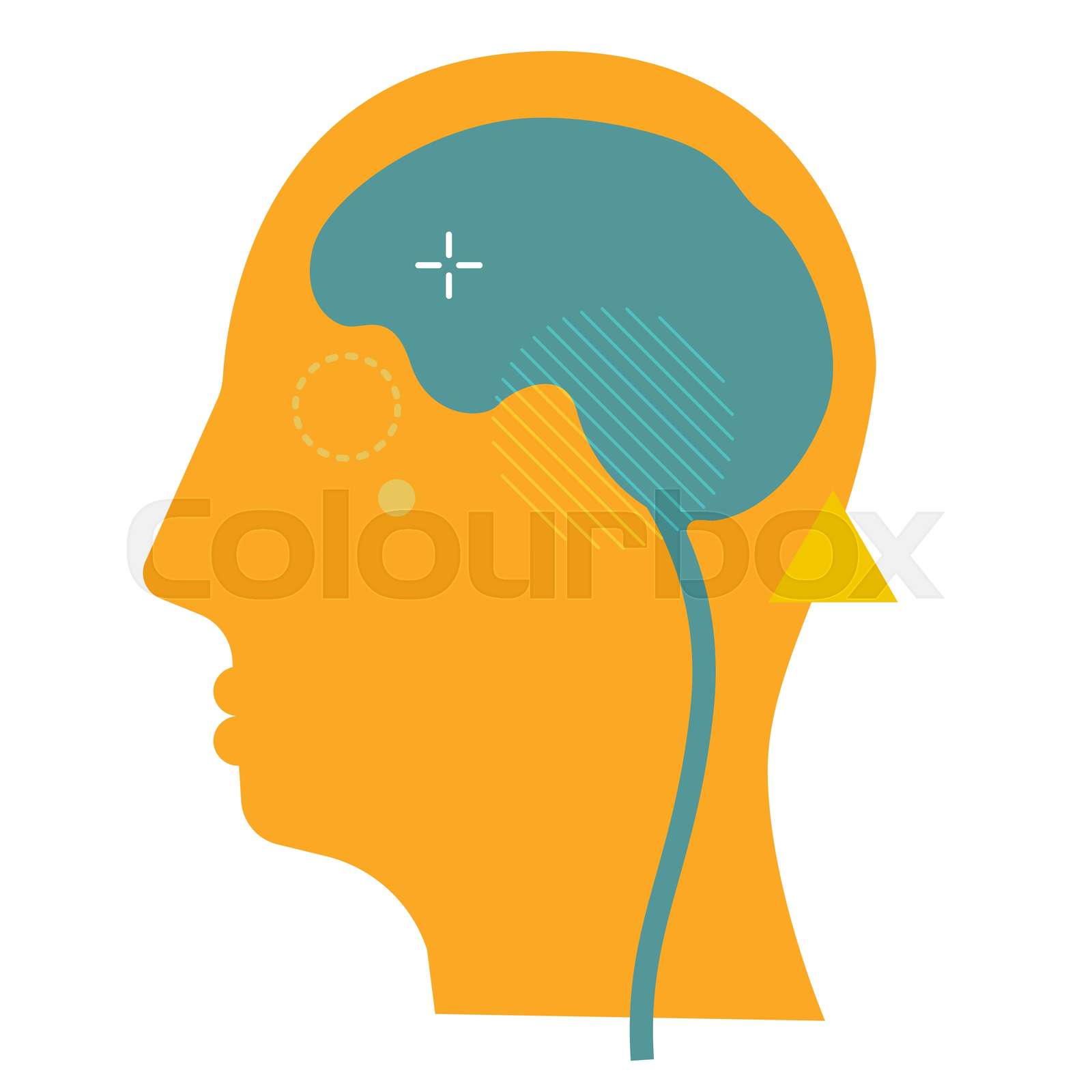 Traumatic Brain Injury - TBI - Icon | Stock vector | Colourbox