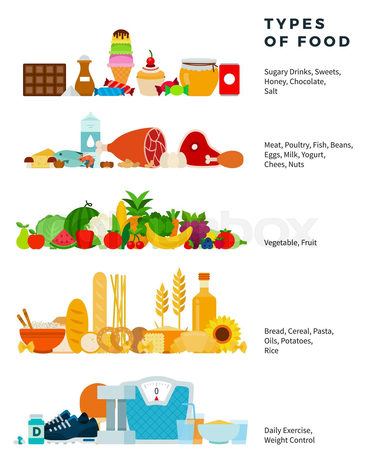 Types of food vector flat illustration. Healthy food pyramid from ...