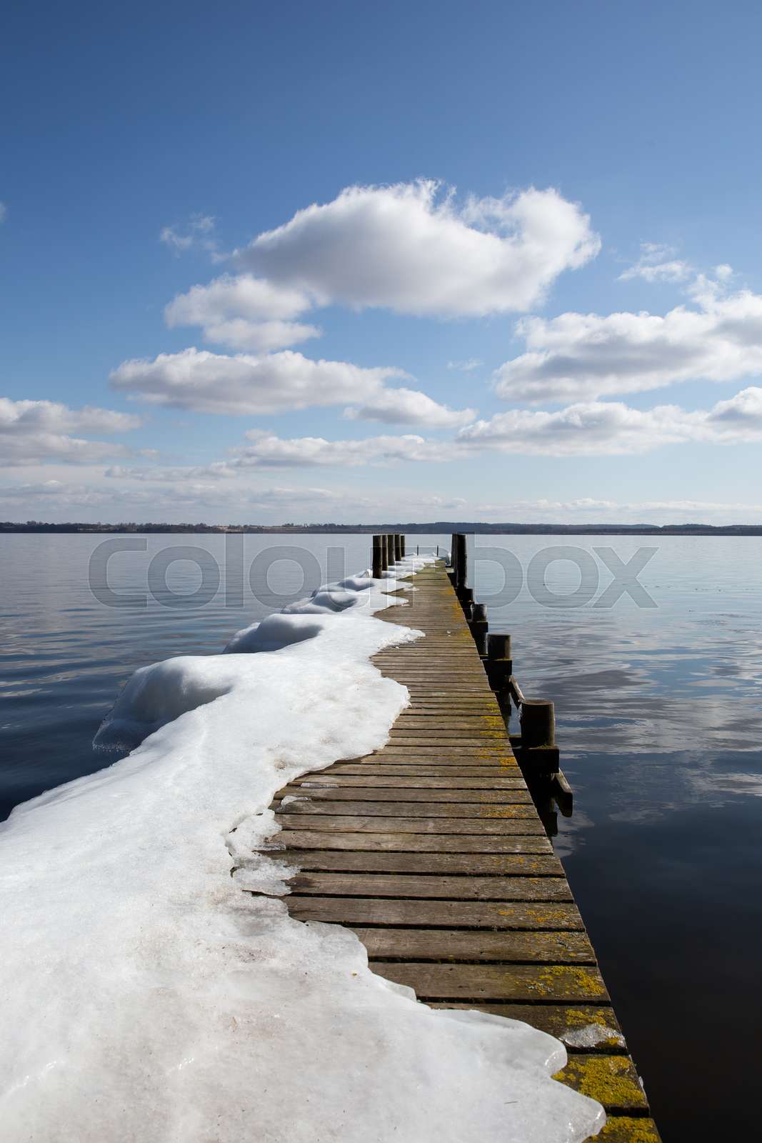 Gribskov in Denmark | Stock image | Colourbox