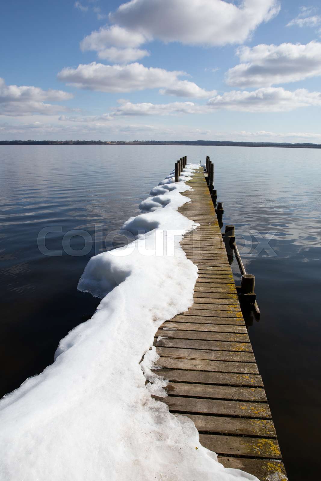 Gribskov in Denmark | Stock image | Colourbox
