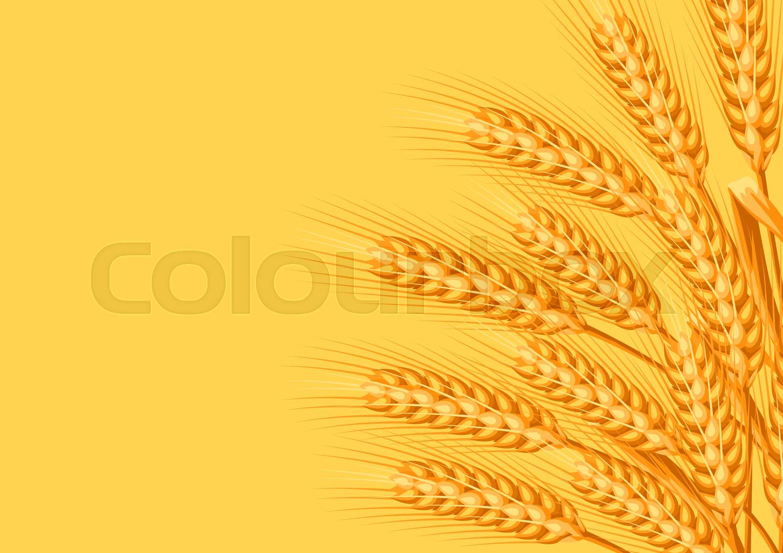 Background with wheat. | Stock vector | Colourbox