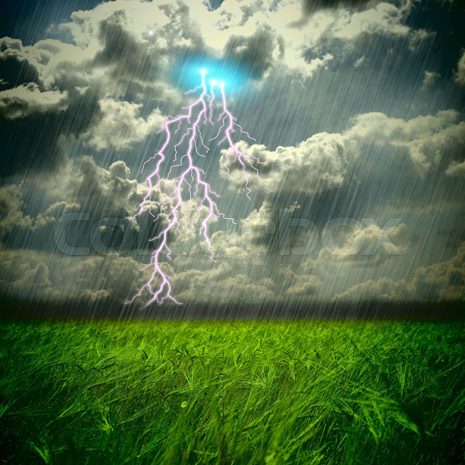 The weat and storm field and hard rain | Stock image | Colourbox