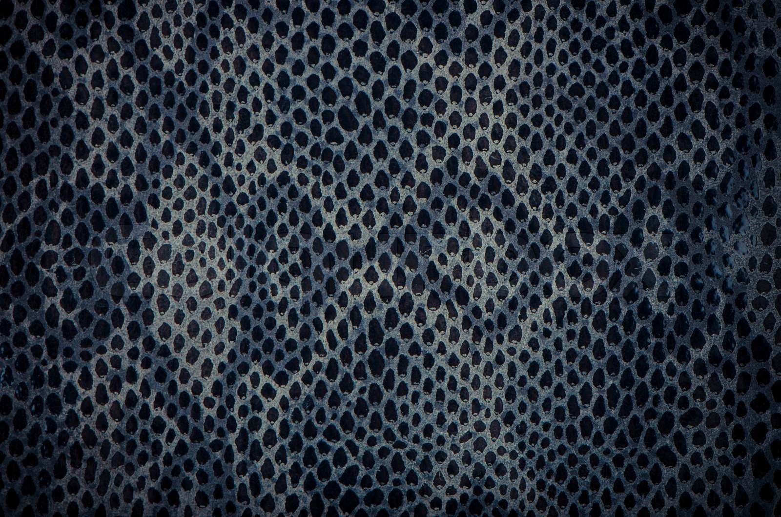 Blue python snake skin | Stock image | Colourbox