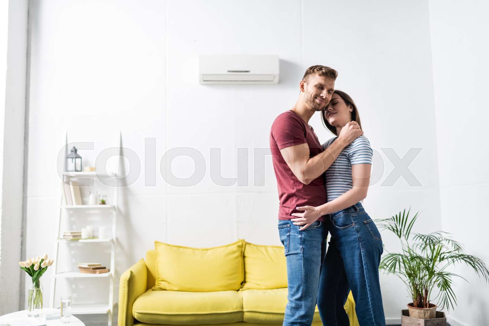 smiling couple hugging at home with air conditioner | Stock image ...