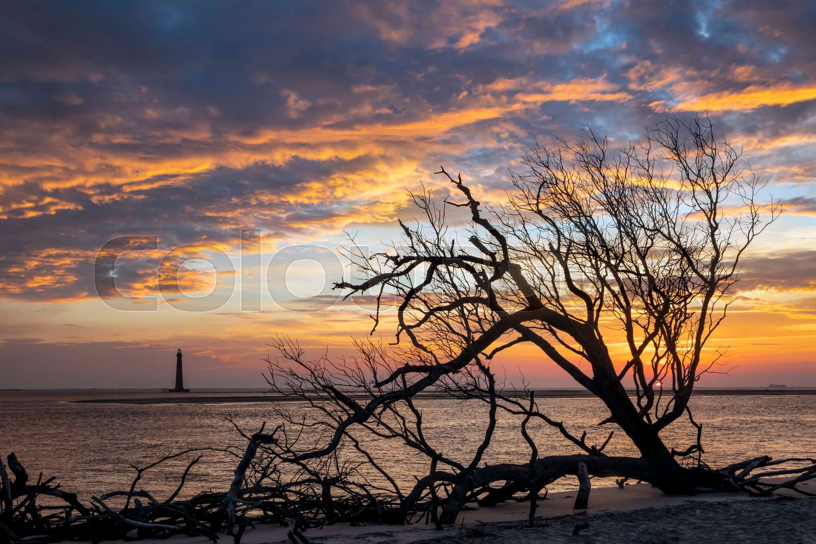 Sunrise Over Folly Beach and Morris Island Lighthouse | Stock image ...