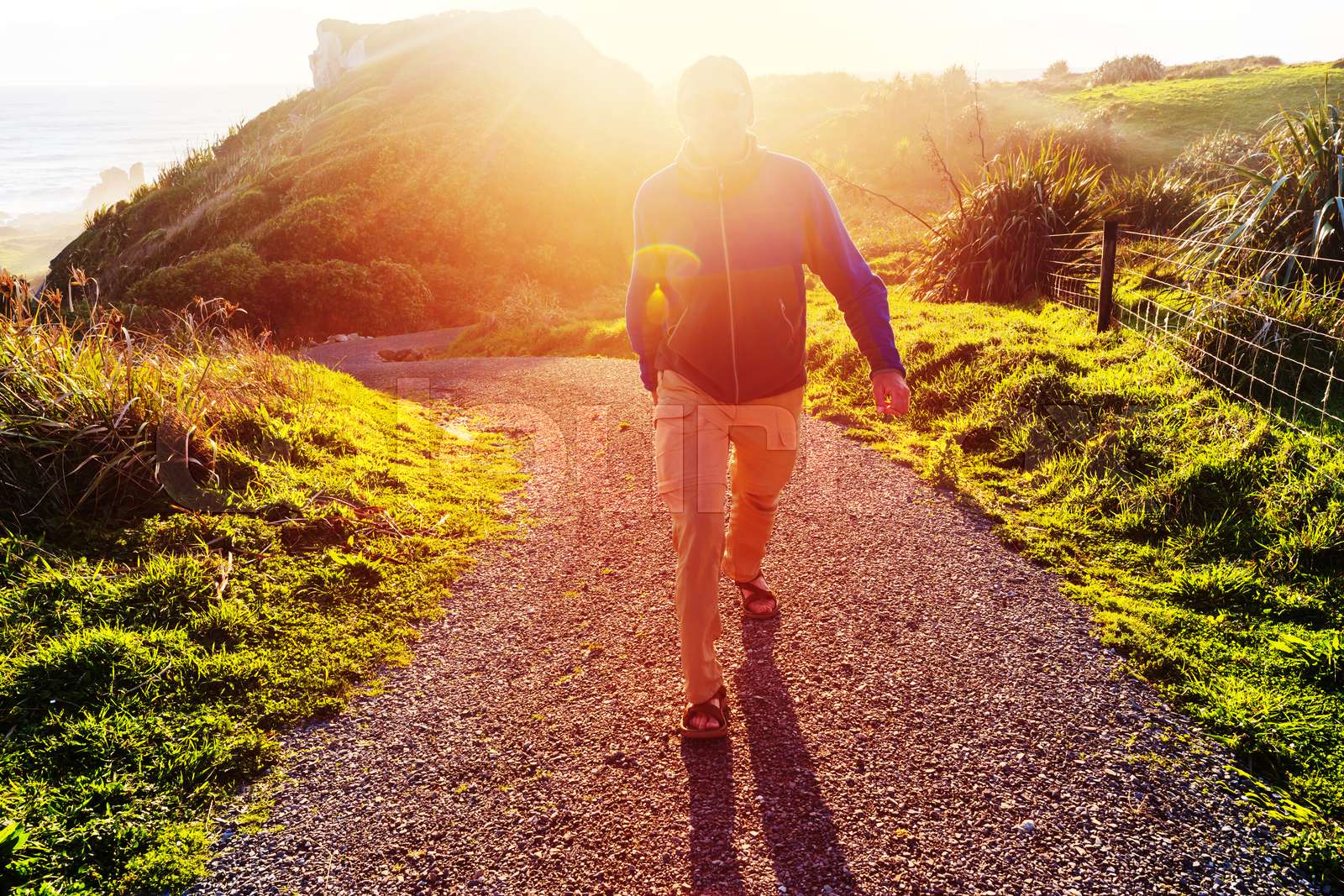 Walking | Stock image | Colourbox