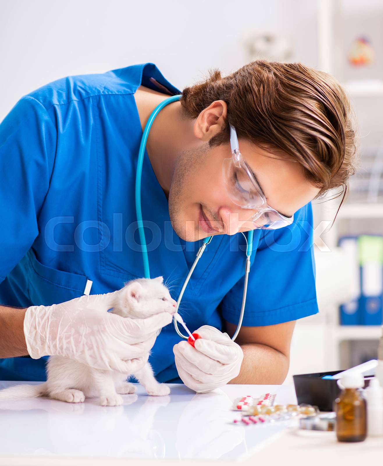 Vet doctor examining kittens in animal hospital | Stock image | Colourbox