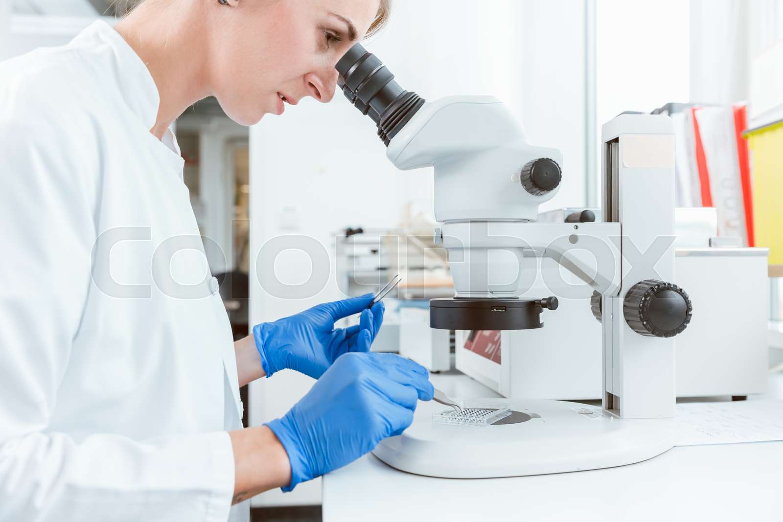 Woman researcher using microscope | Stock image | Colourbox