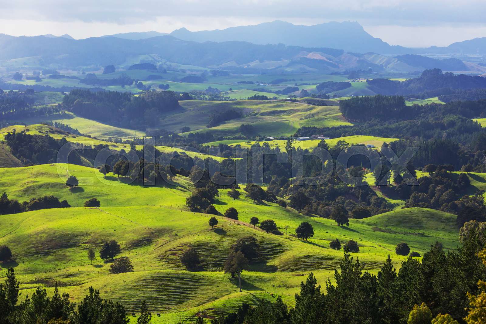 New Zealand hills | Stock image | Colourbox