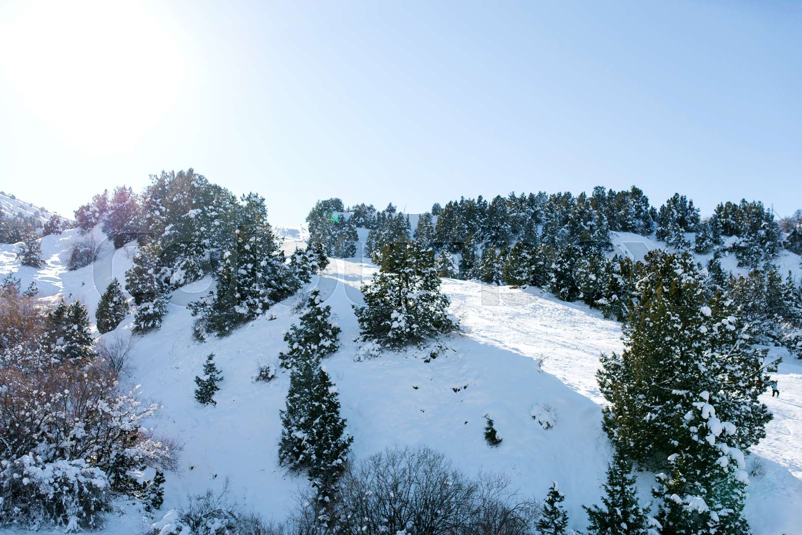 Tian Shan mountain system in Uzbekistan. Winter landscape in the ski ...