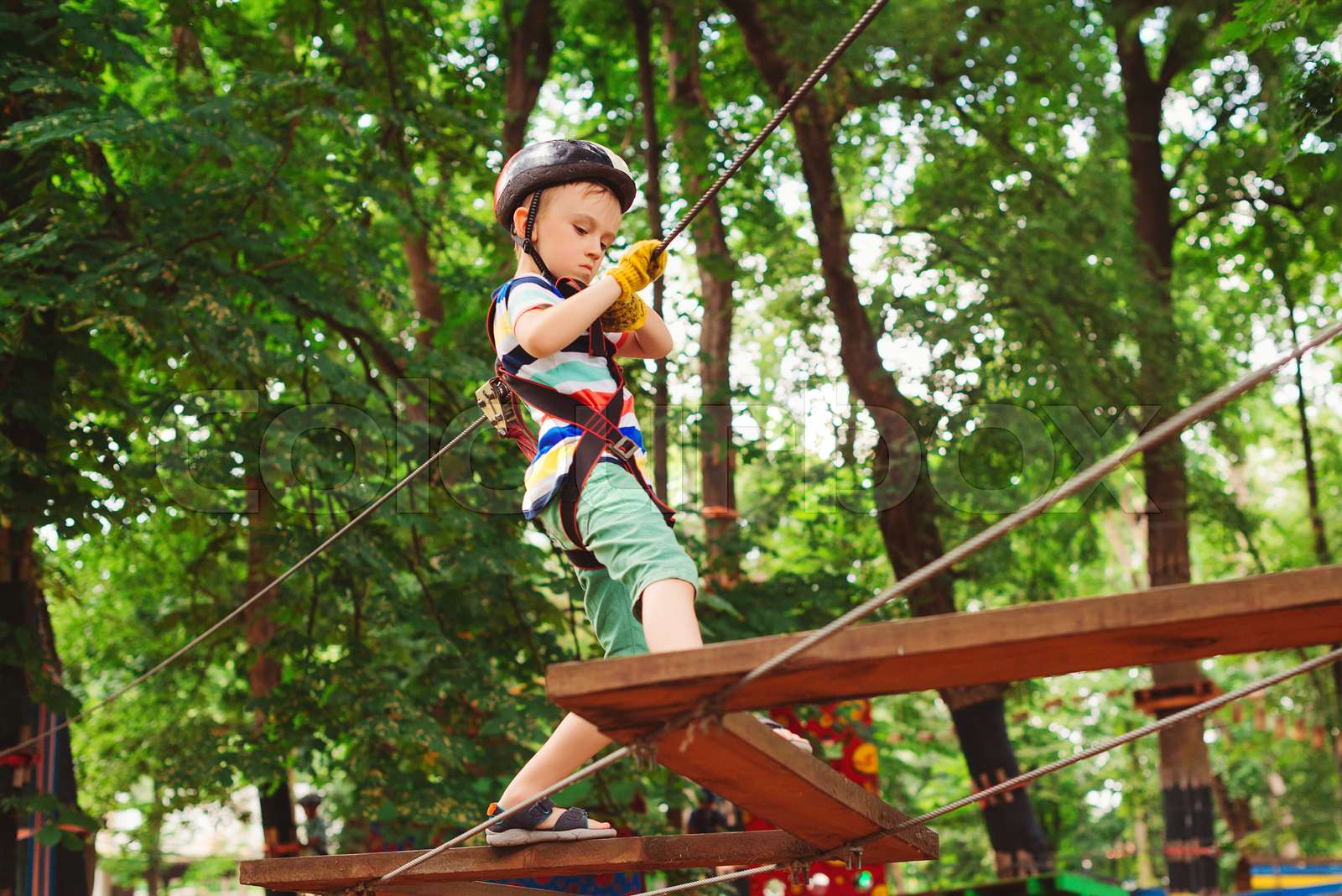 Little boy in the rope park pass obstacles. Cute kid climb the rope ...